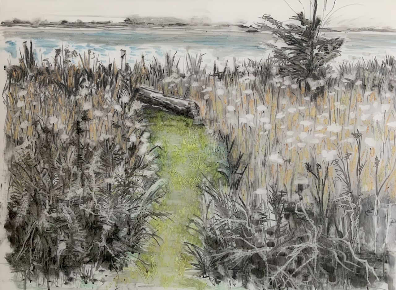 Works on Mylar | lizwells